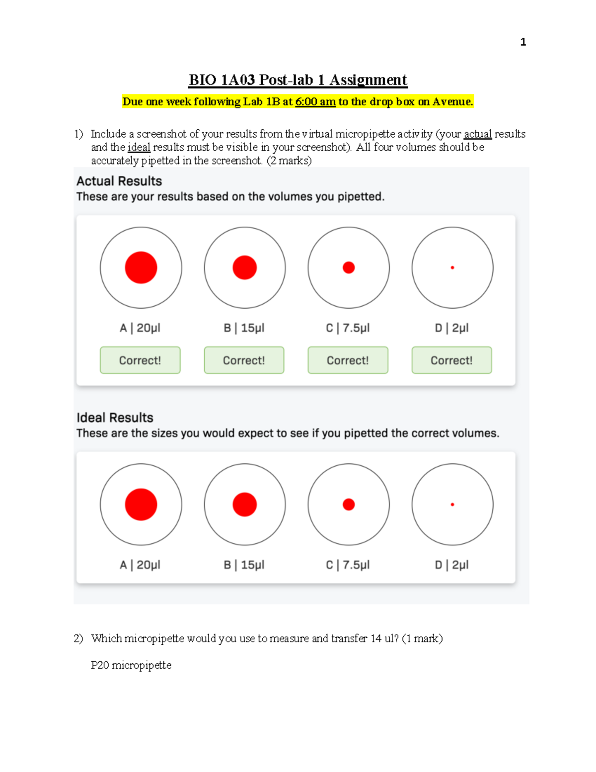 Post-lab 1 Assignment W2022 - BIO 1A03 Post-lab 1 Assignment Due one ...