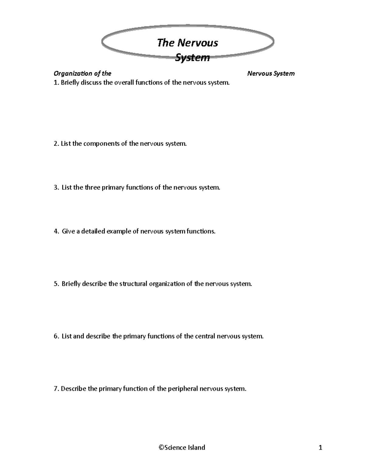 3 Nervous System Notes Student - Organization of the Nervous System ...