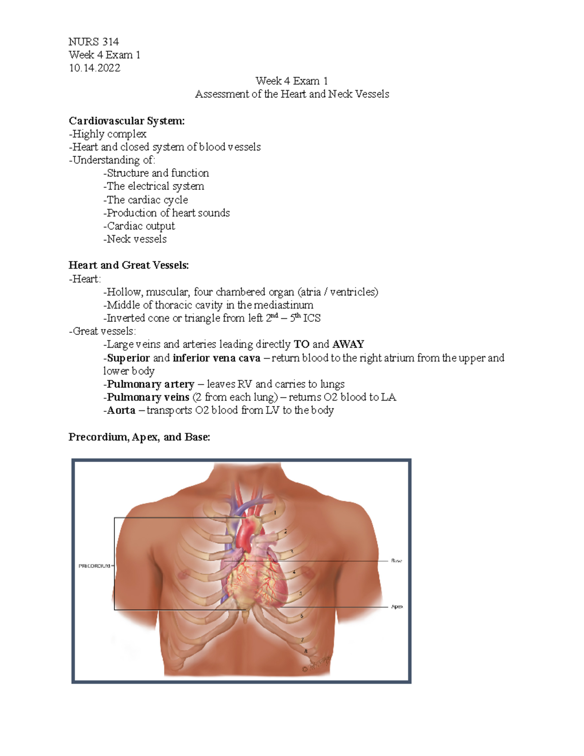 Assessment of the Heart and Neck Vessels - Week 4 Exam 1 - HCS 212 ...