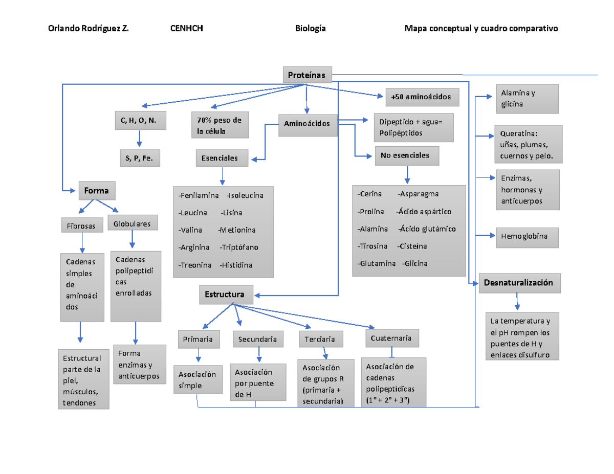 Mapa conceptual y cuadro comparativo - Warning: TT: undefined function: 32 Proteínas C, H, O, N ...