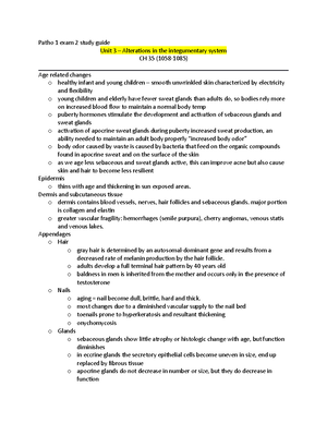 Patho STI Notes for Exam 4 - Sexually Transmitted Infections (STIs ...