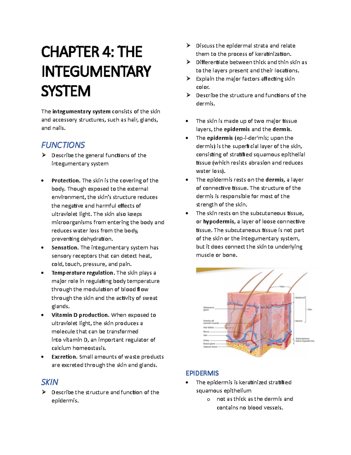 Anaphy-Chapter-4 - anaphy skeletal system - CHAPTER 4: THE ...