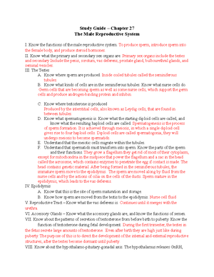 Study Guide - Chapter 20 F - Study Guide – Chapter 20 The Circulatory ...