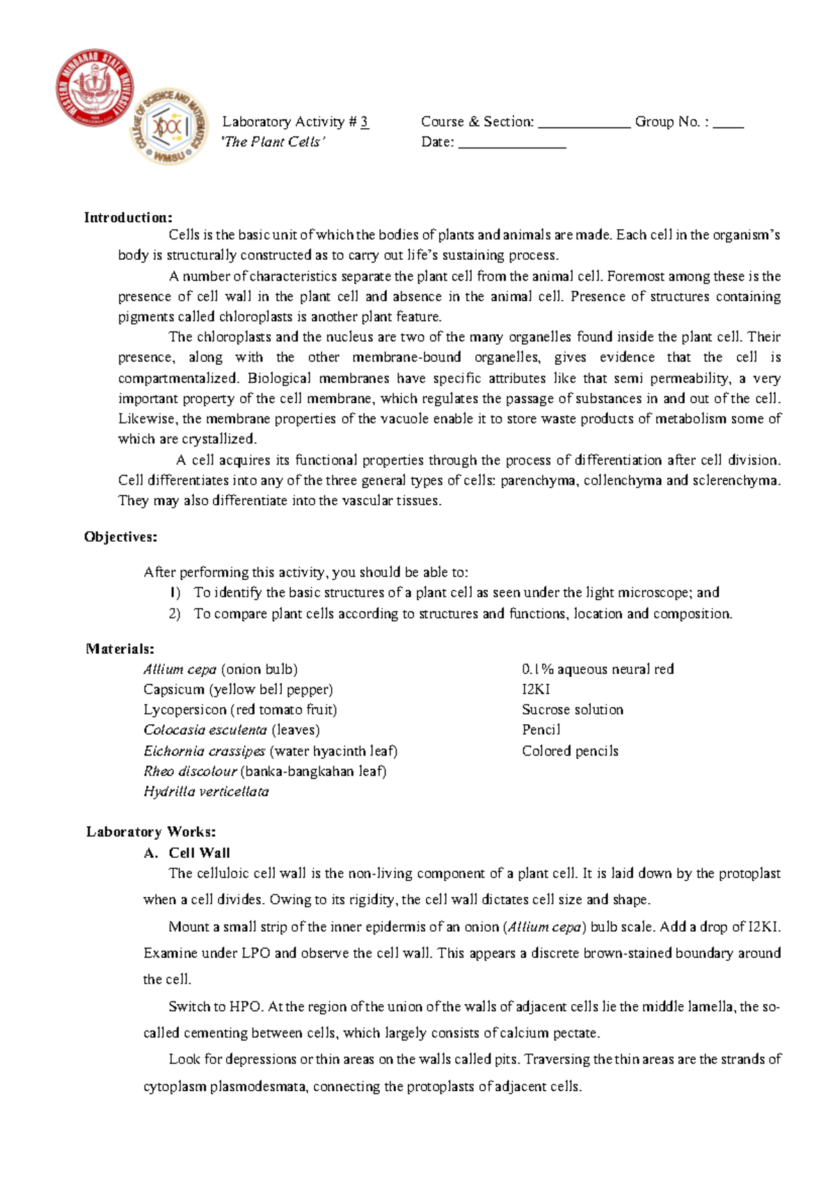 Laboratory Activity # 3 - The Plant Cell - Laboratory Activity # 3 ...