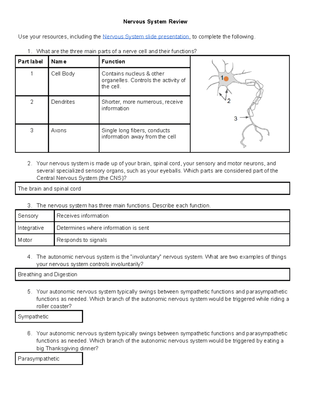 Nervous System review - Nervous System Review Use your resources ...