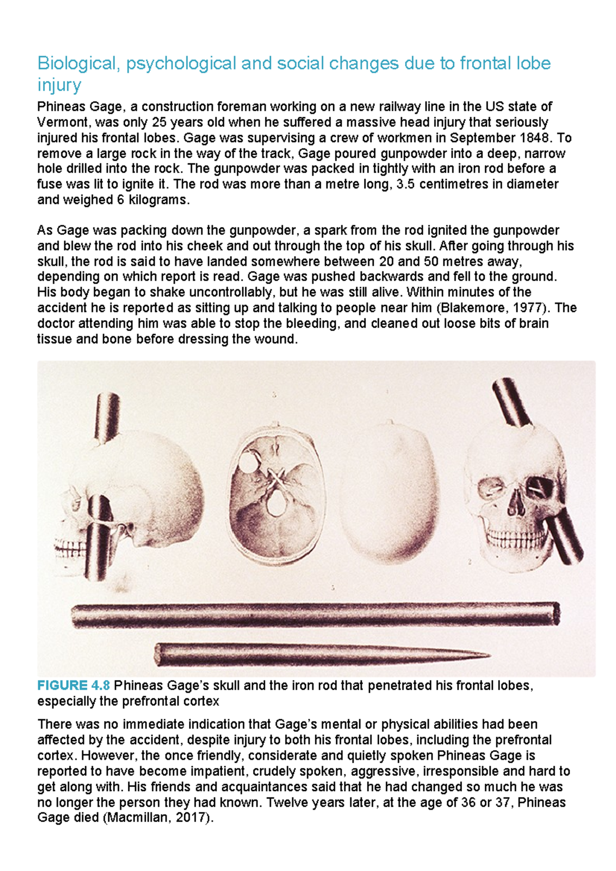 Phineas Gage - Biological, psychological and social changes due to ...