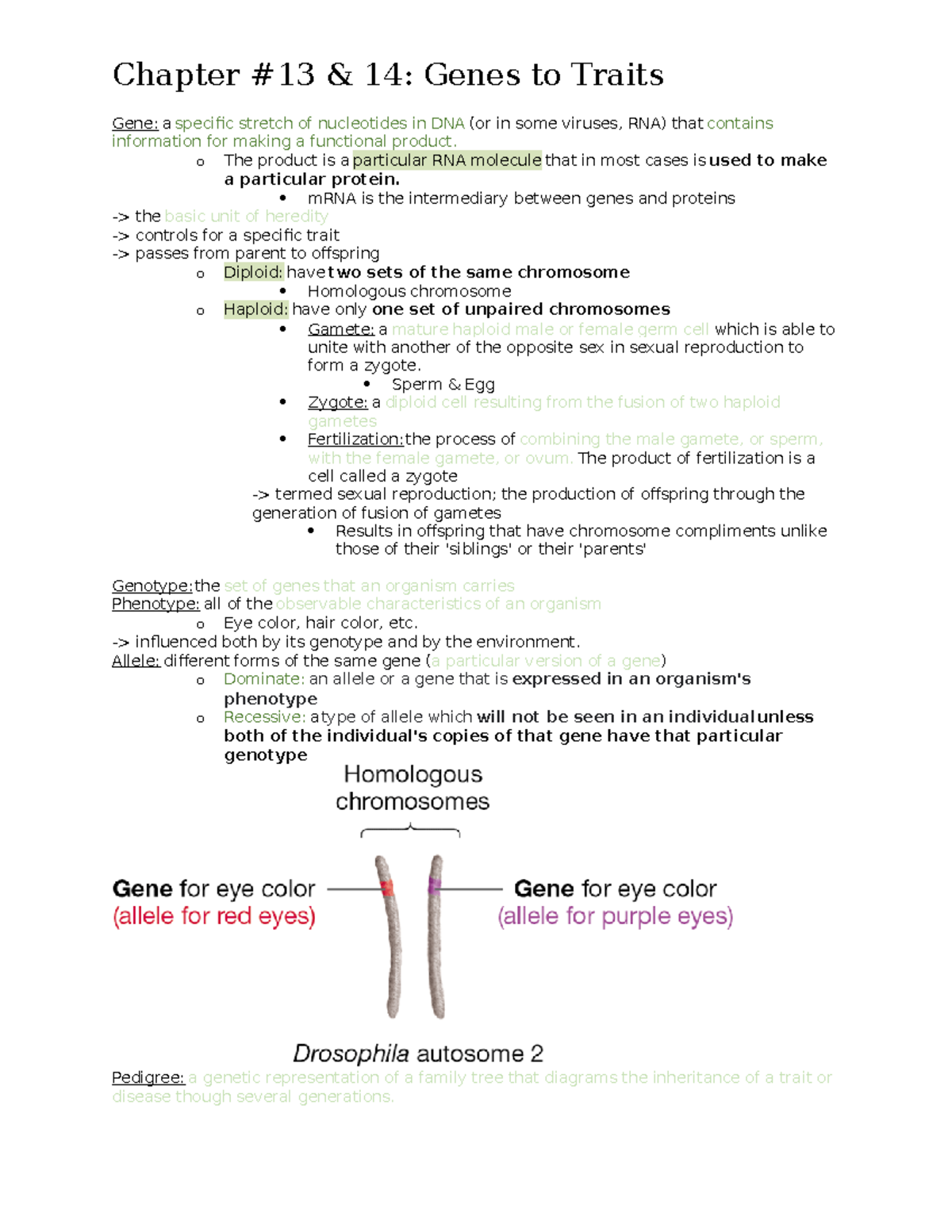 Chapter #13 & 14 - Chapter #13 & 14: Genes to Traits Gene: a specific ...