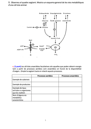 El Viaje Perdido sample+ - El viaje perdido Written by Lisa Ray Turner ...