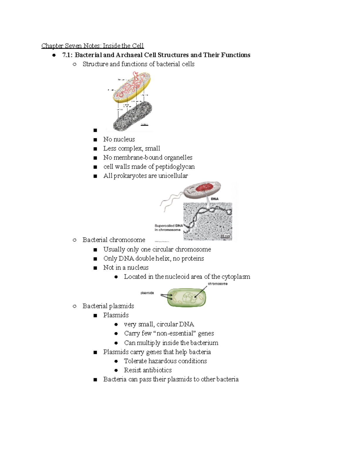 Lecture Notes and Chapter Notes - Chapter Seven Notes: Inside the Cell ...
