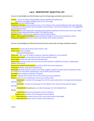 Lab 12 - Female Reproductive System Objective LIST - Lab 12 - FEMALE ...