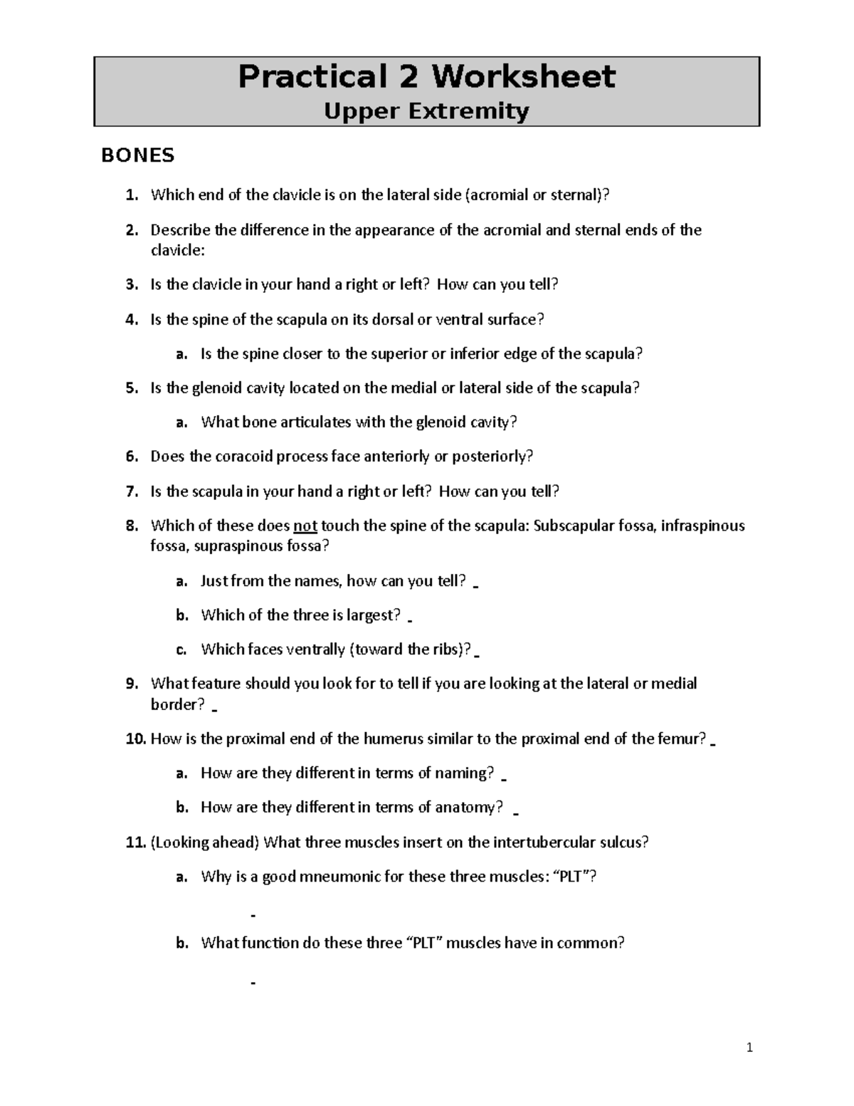 201 Practical 2 worksheet Blank - Practical 2 Worksheet Upper Extremity ...
