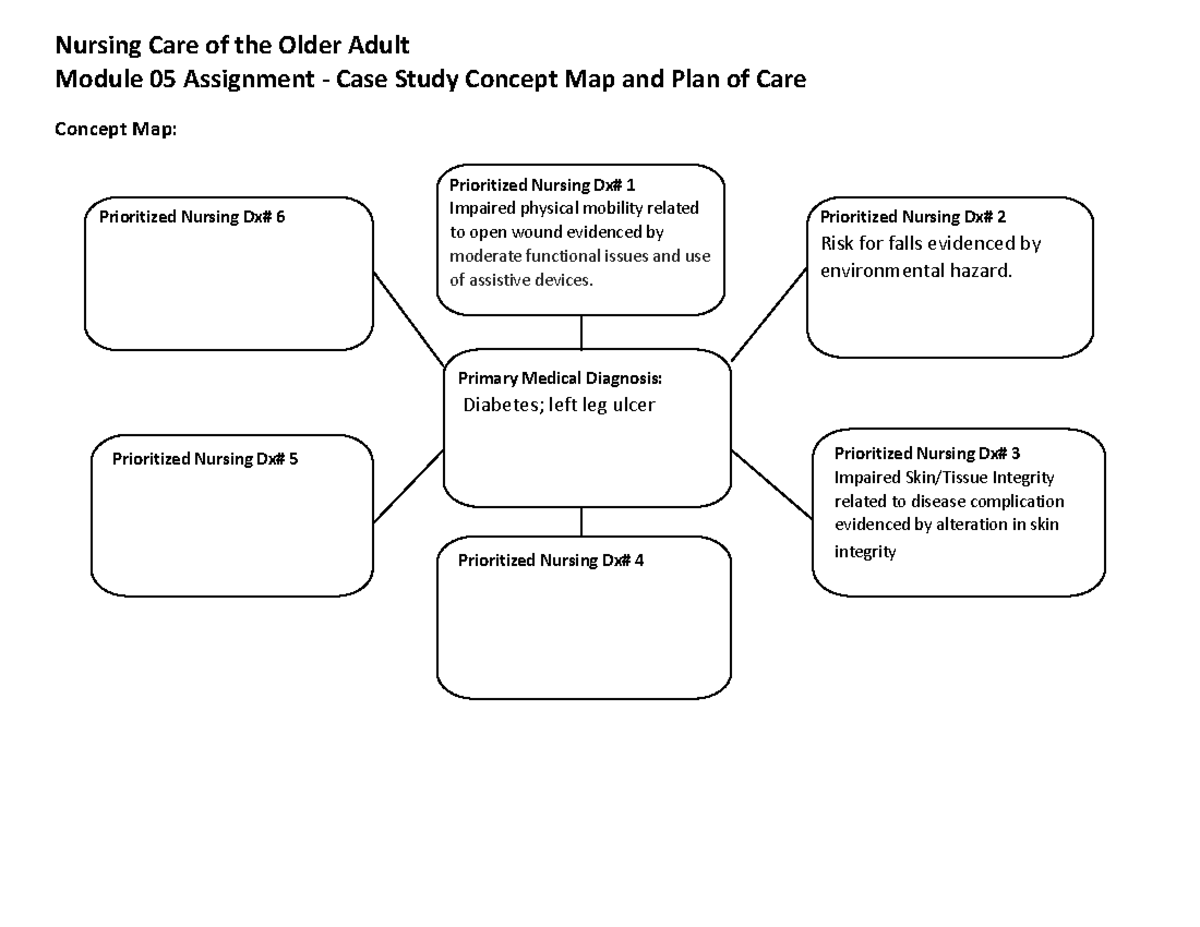 Concept Map and Plan of Care worksheet - Nursing Care of the Older ...