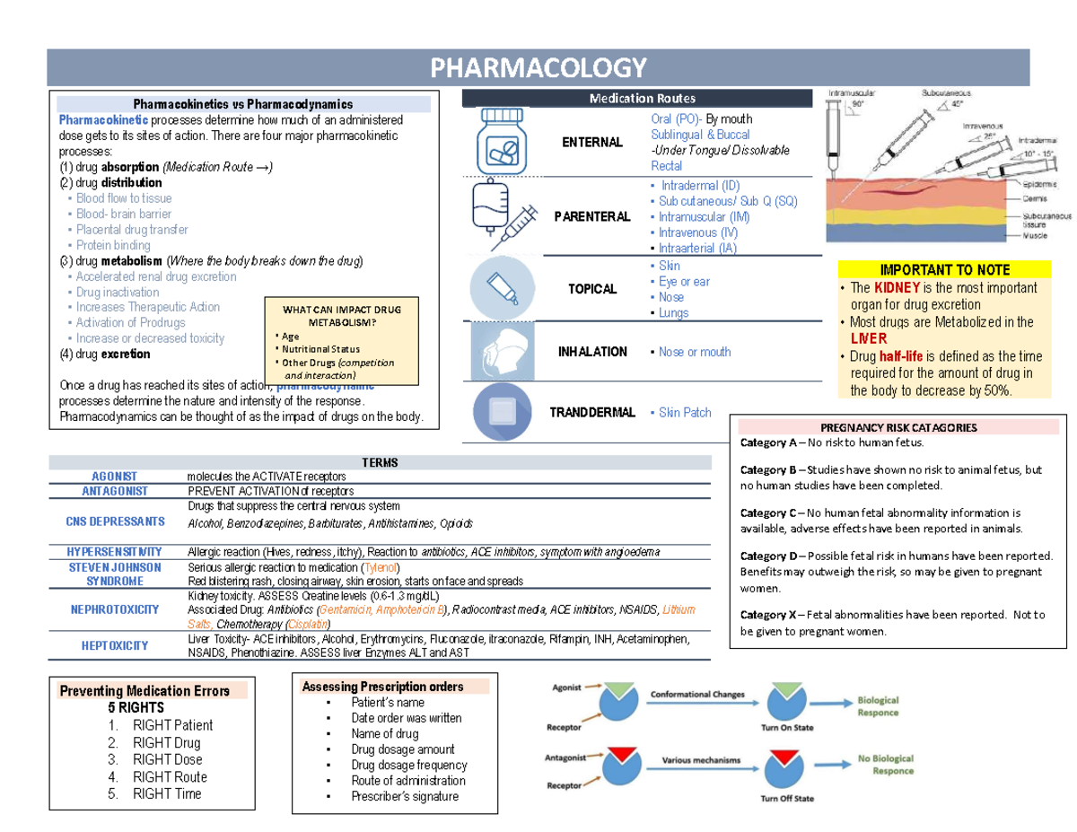 Drugs for Pain Notes - PHARMACOLOGY Medication Routes ENTERNAL Oral (PO ...