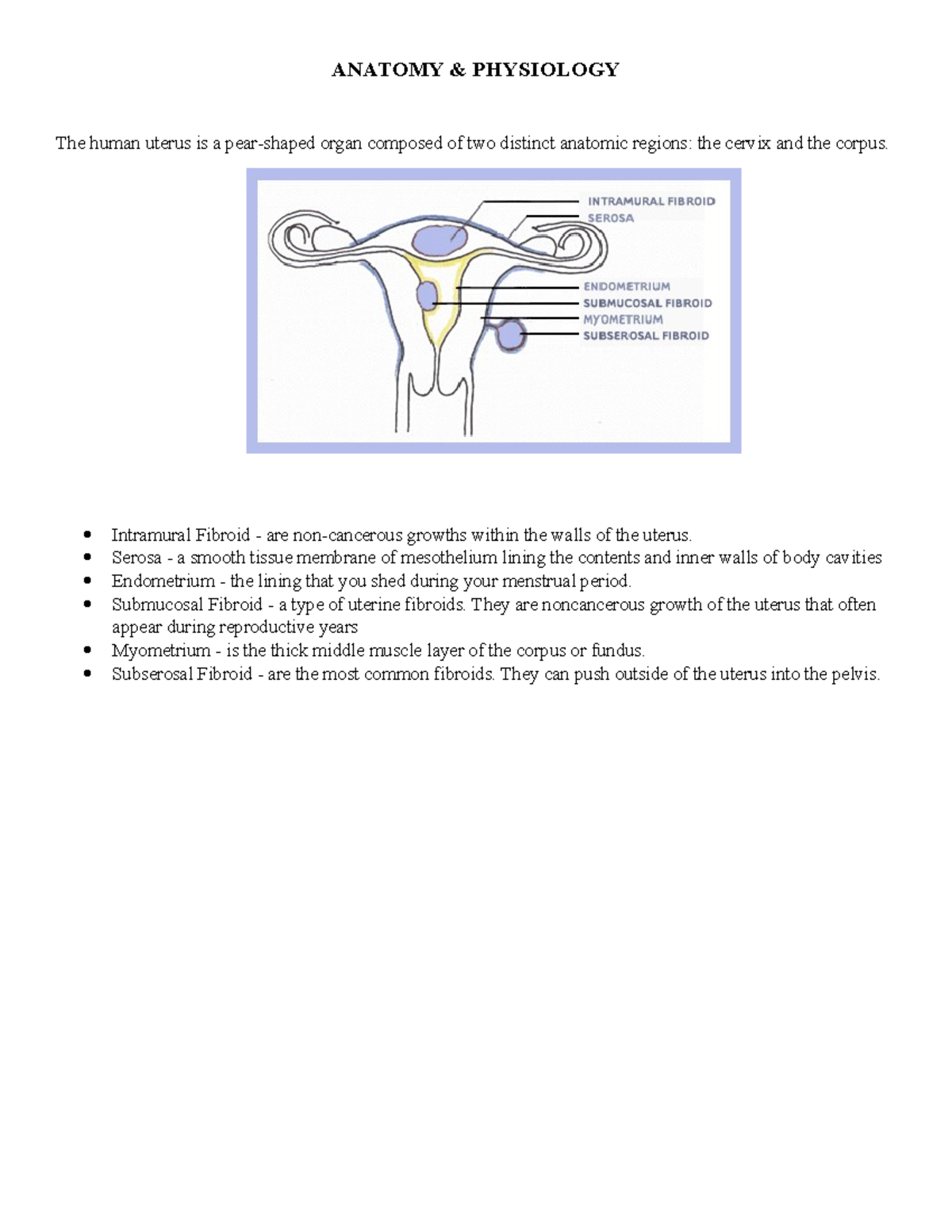 Uterus - Goodluck - ANATOMY & PHYSIOLOGY The human uterus is a pear ...