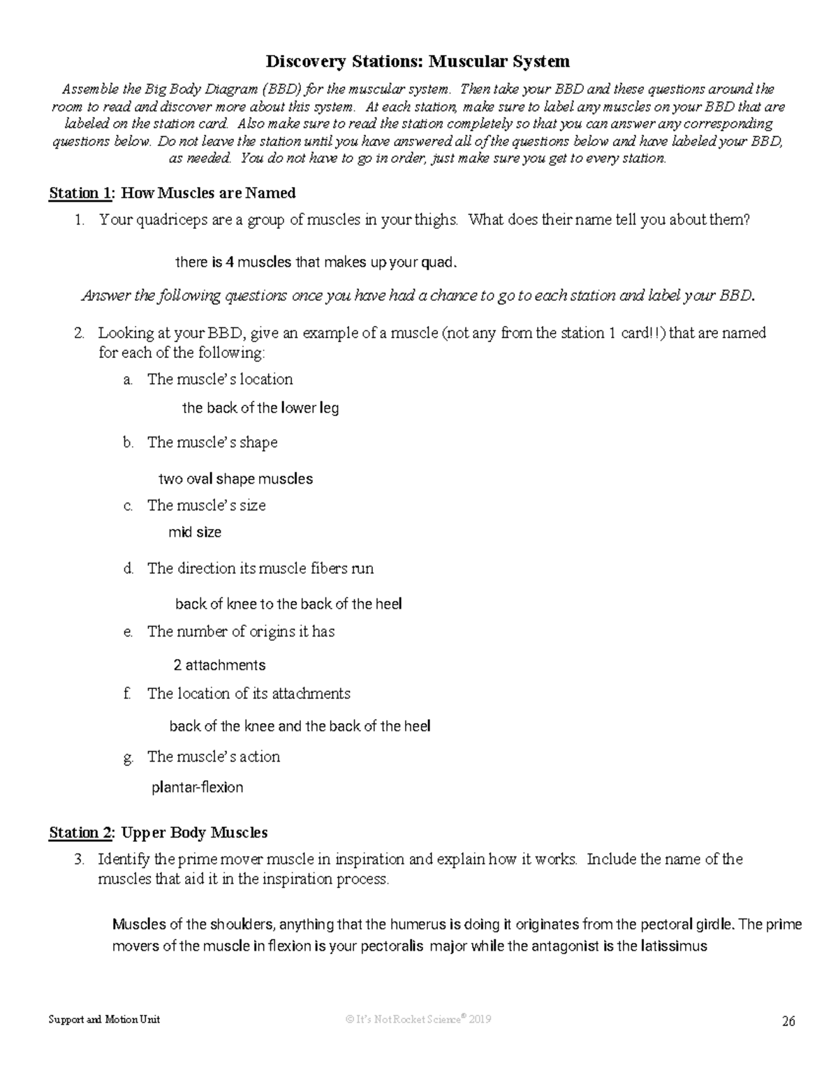 Discovery+Student+Pages+-+Muscular - Support and Motion Unit © It’s Not ...