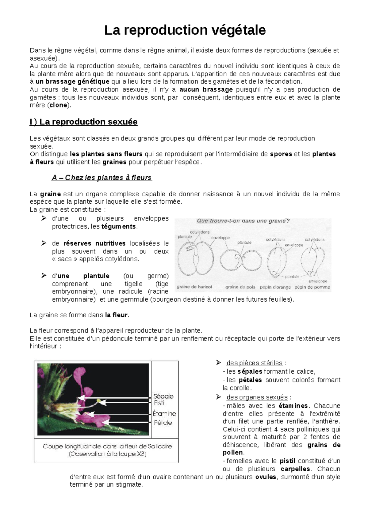 Reproduction Végétale - SVT (cours de sciences) - La reproduction ...