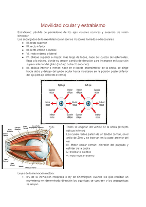 Glaucoma Angulo Cerrado - GUÍA DE PRÁCTICA CLÍNICA GPC Diagnóstico y ...