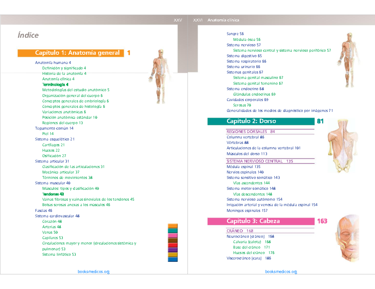 Indice PRO - Pró - XXV Capítulo 1: Anatomía general Índice Anatomía ...