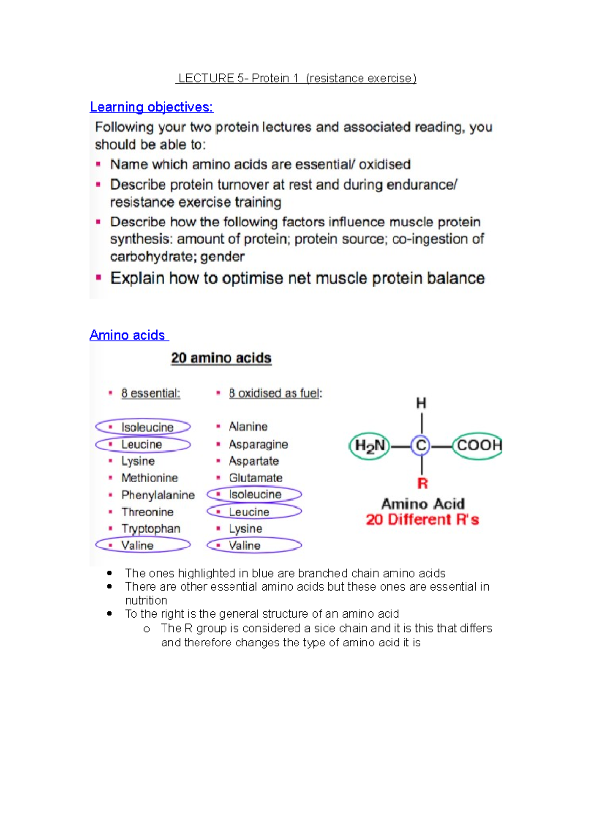 Revision- lecture 5 protein 1 - LECTURE Protein 1 (resistance exercise ...