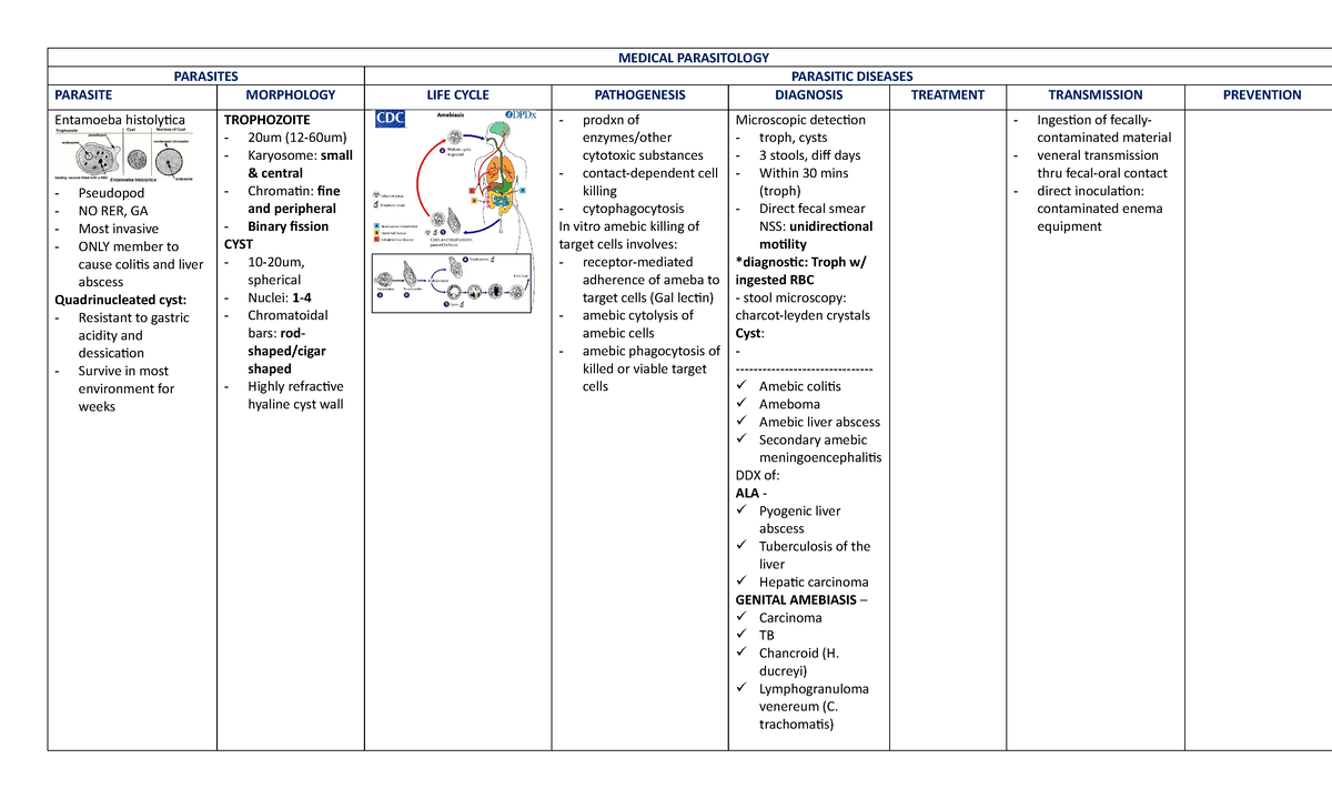 Medical Parasitology Table PARASITOLOGY CASE 1 - MEDICAL PARASITOLOGY ...