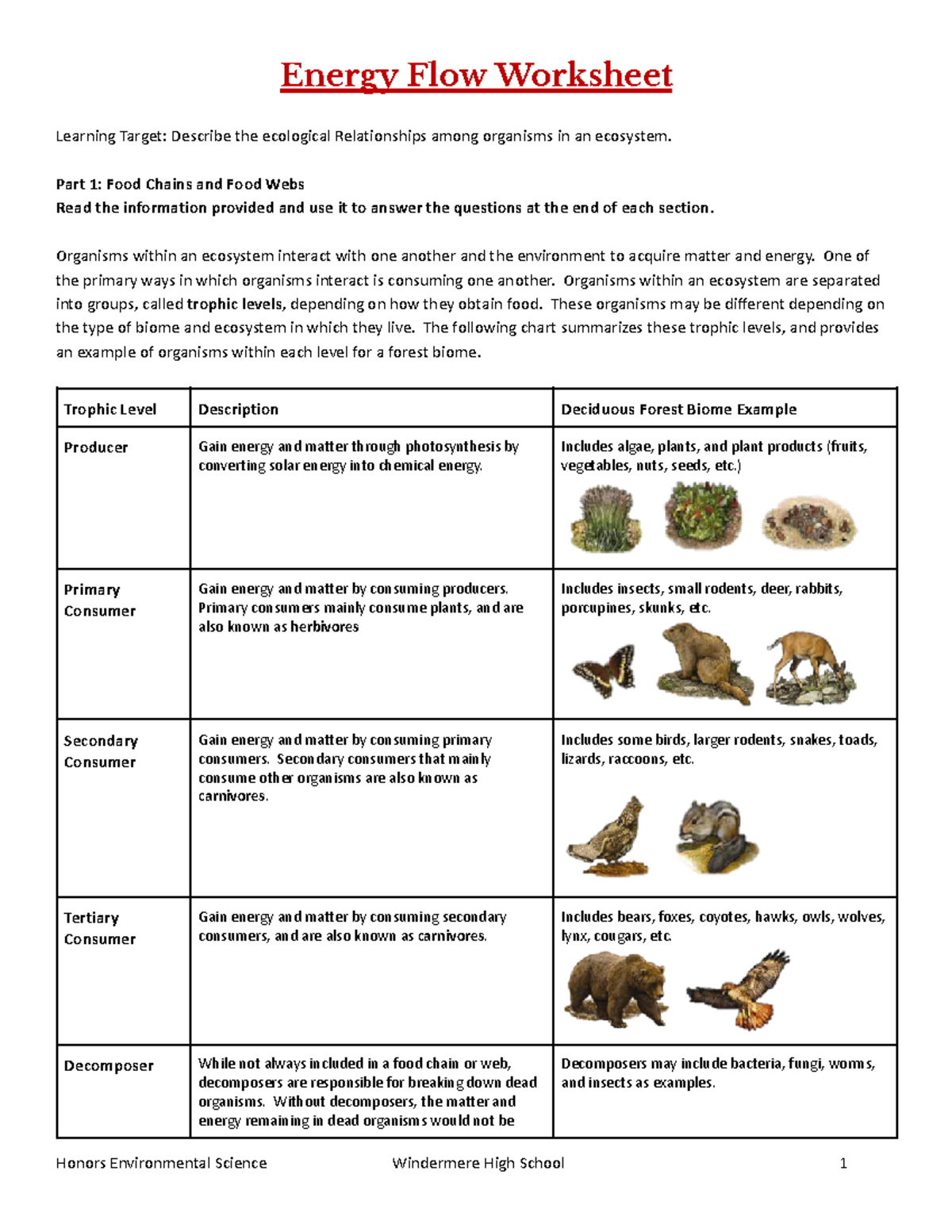 Copy of Energy Flow Worksheet- student - Energy Flow Worksheet Learning ...