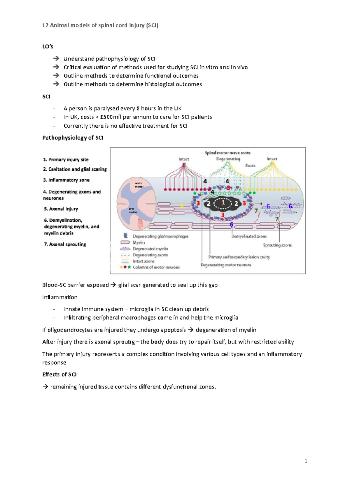 L2 Animal models of spinal cord injury (SCI) - LO’s Understand ...
