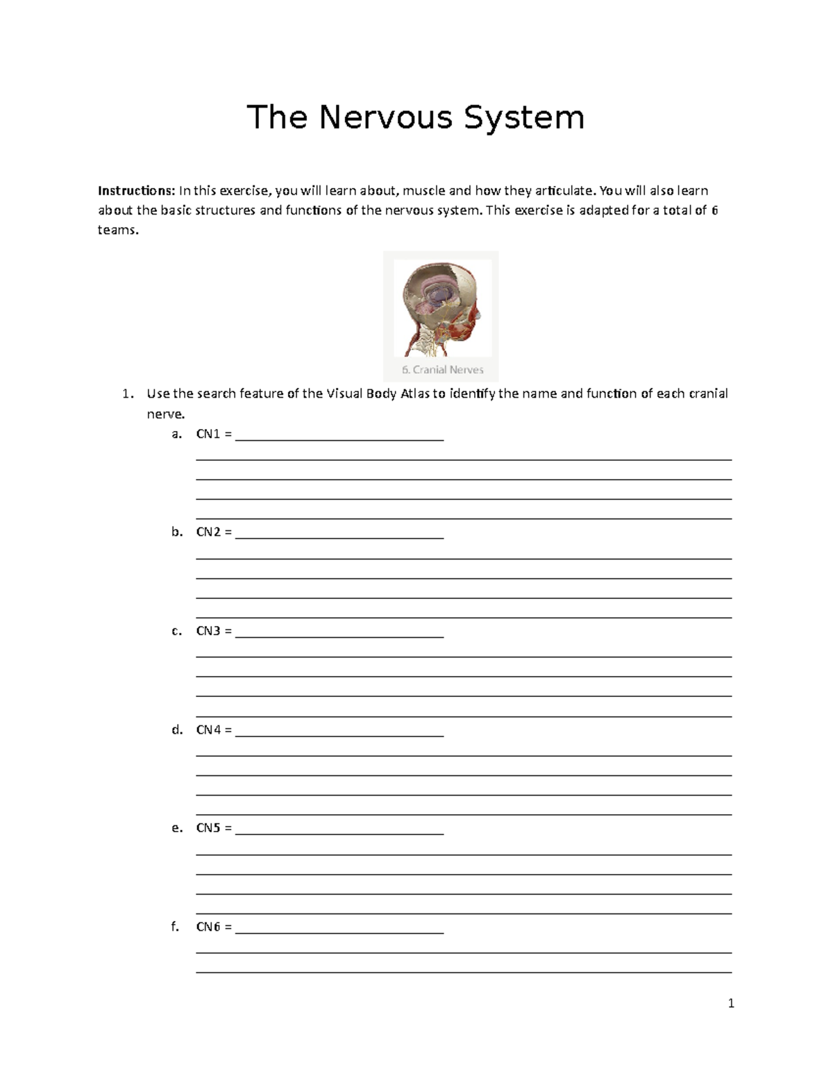 AP I Wk4 Atlas App CN & Spine remote - The Nervous System Instructions ...