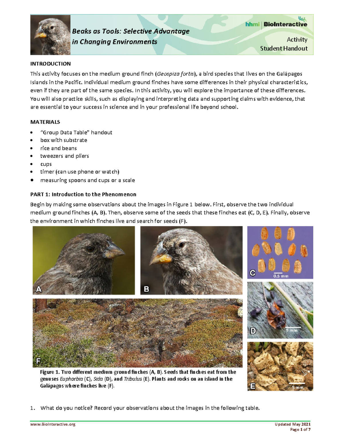 Kami Export - Oliver Harris - Bird Beaks As Tools-Student HO-act ...