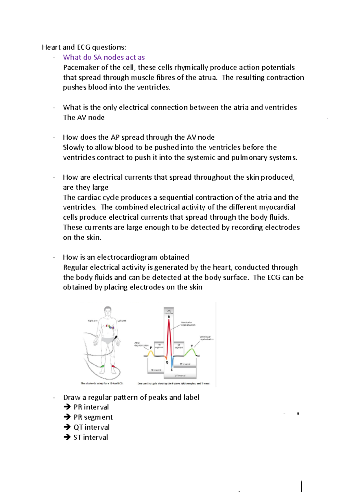 ECG practical questions - Heart and ECG questions: - What do SA nodes ...