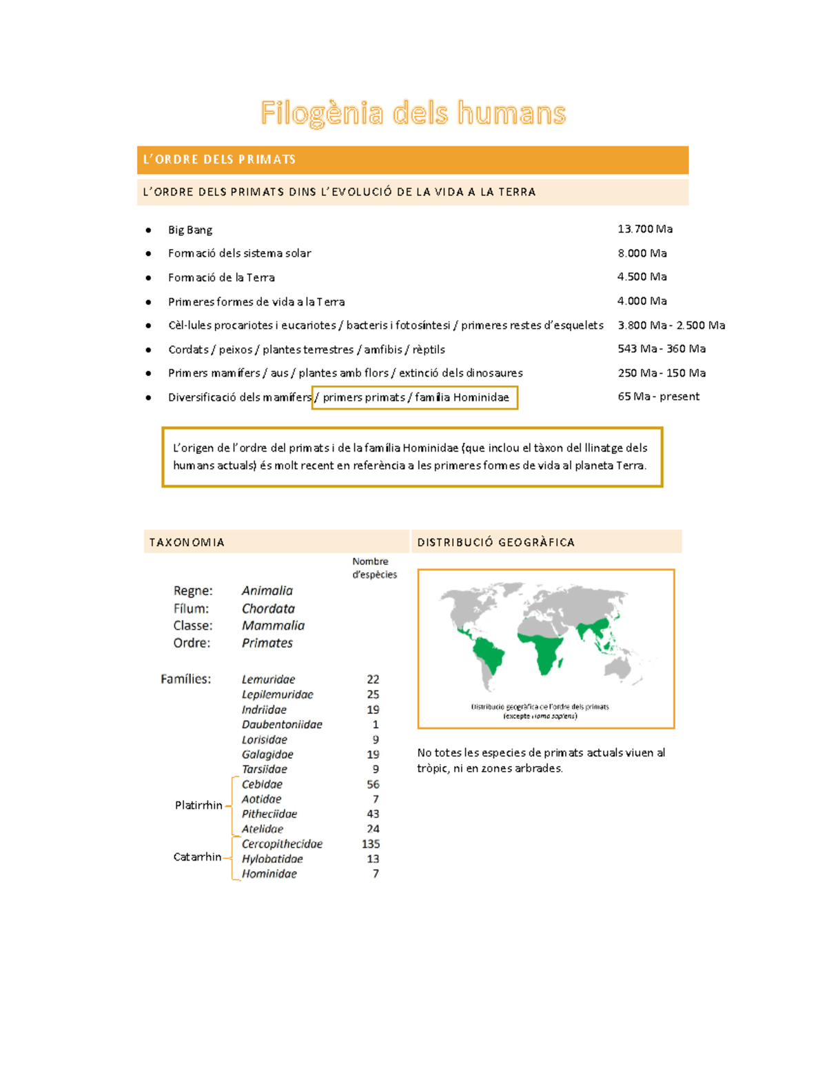 Tema 3 Eto - eto - L’ORDRE DELS PRIMATS L’ORDRE DELS PRIMATS DINS L’EVOLUCIÓ DE LA VIDA A LA ...