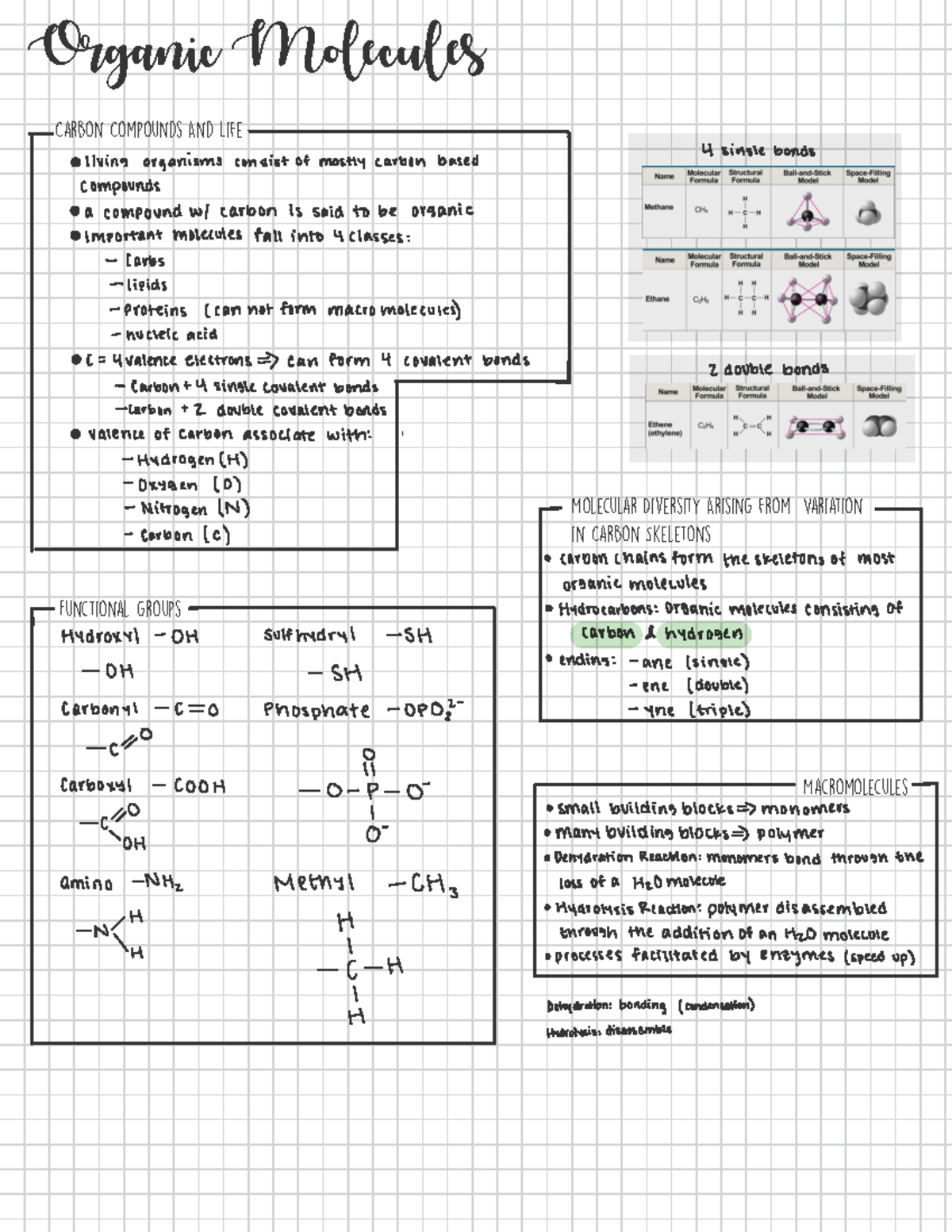Chapter 3 - , Carbon Compounds And Life Molecular Diversity Arising ...