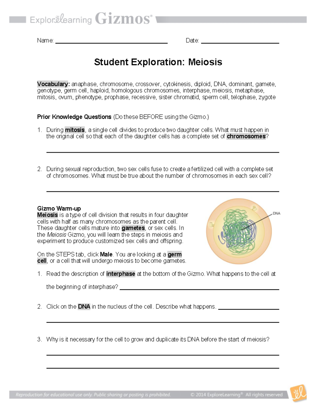 Meiosis Gizmo - cool assignment lowk - Name: Date: Student Exploration ...