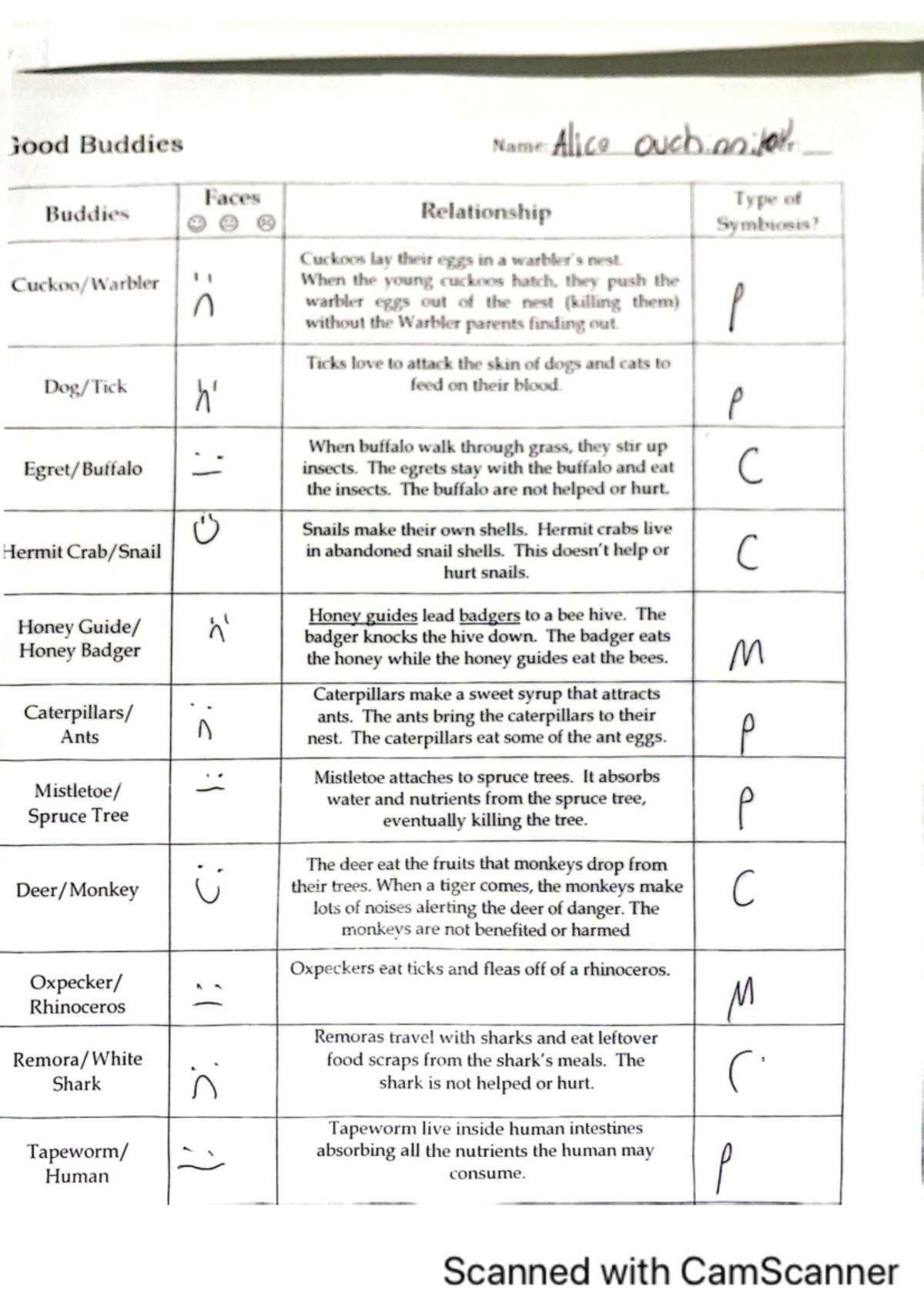 Cam Scanner 02-09-2024 00 - Studocu