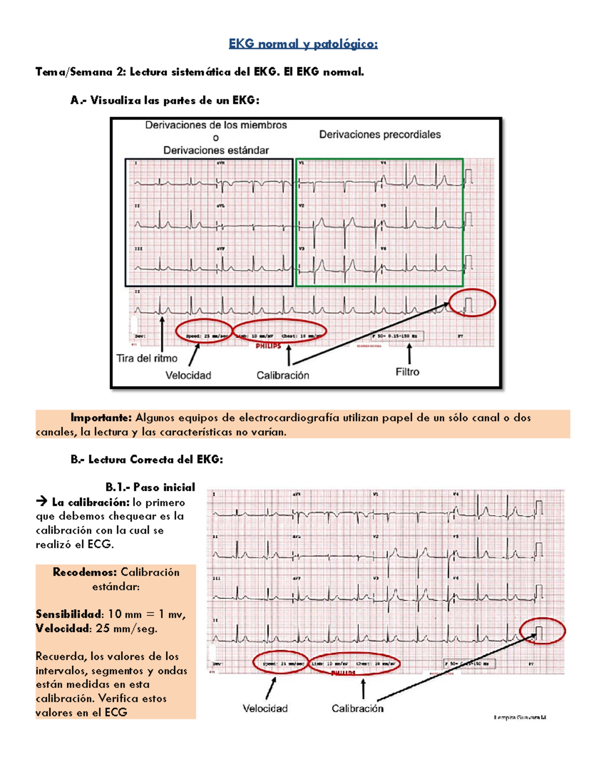 2.- Lectura Sistematica y EKG Normal - Medicina Interna II - UCV - Studocu