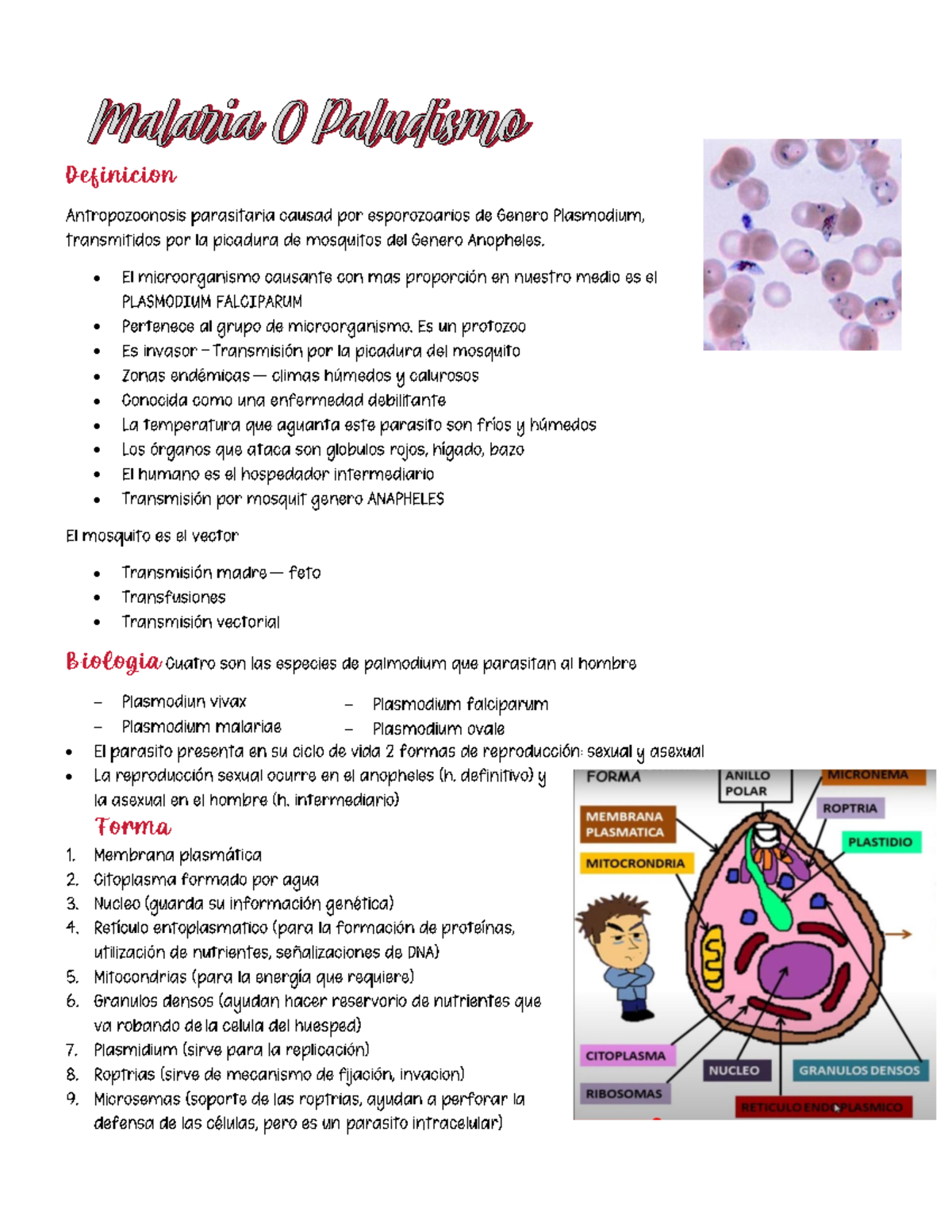 Malaria - Microbiología y Parasitología - • • • • • • • • • • • • − − ...
