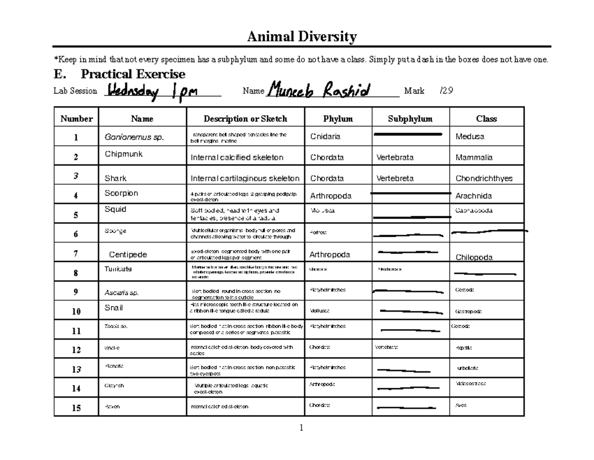 Diversity assignment - Animal Diversity 1 *Keep in mind that not every ...