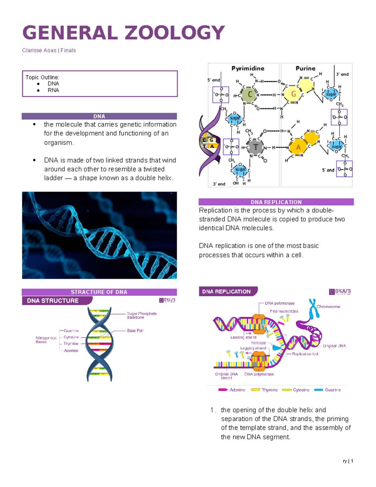 Genzoo LEC Fiinal DNA RNA - GENERAL ZOOLOGY Clarisse Aoas | Finals ...