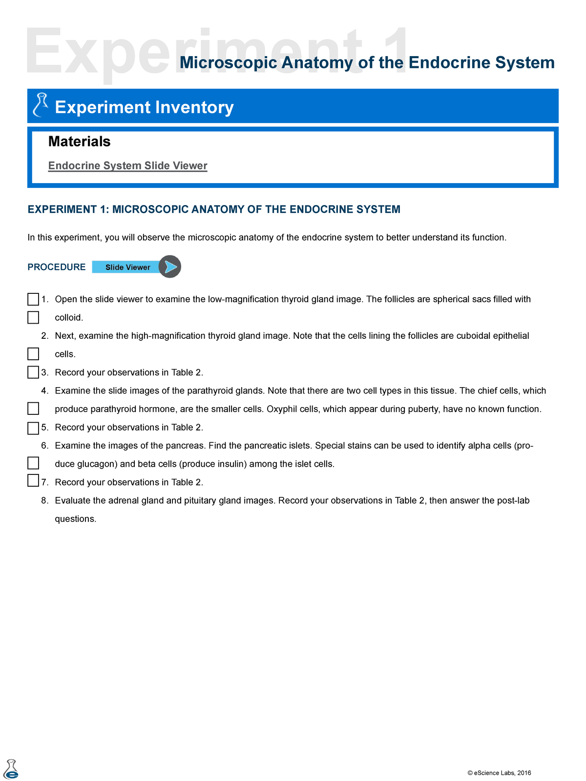 Exp1 Endocrine Slide - Introduction to Science Experiment 1Microscopic ...