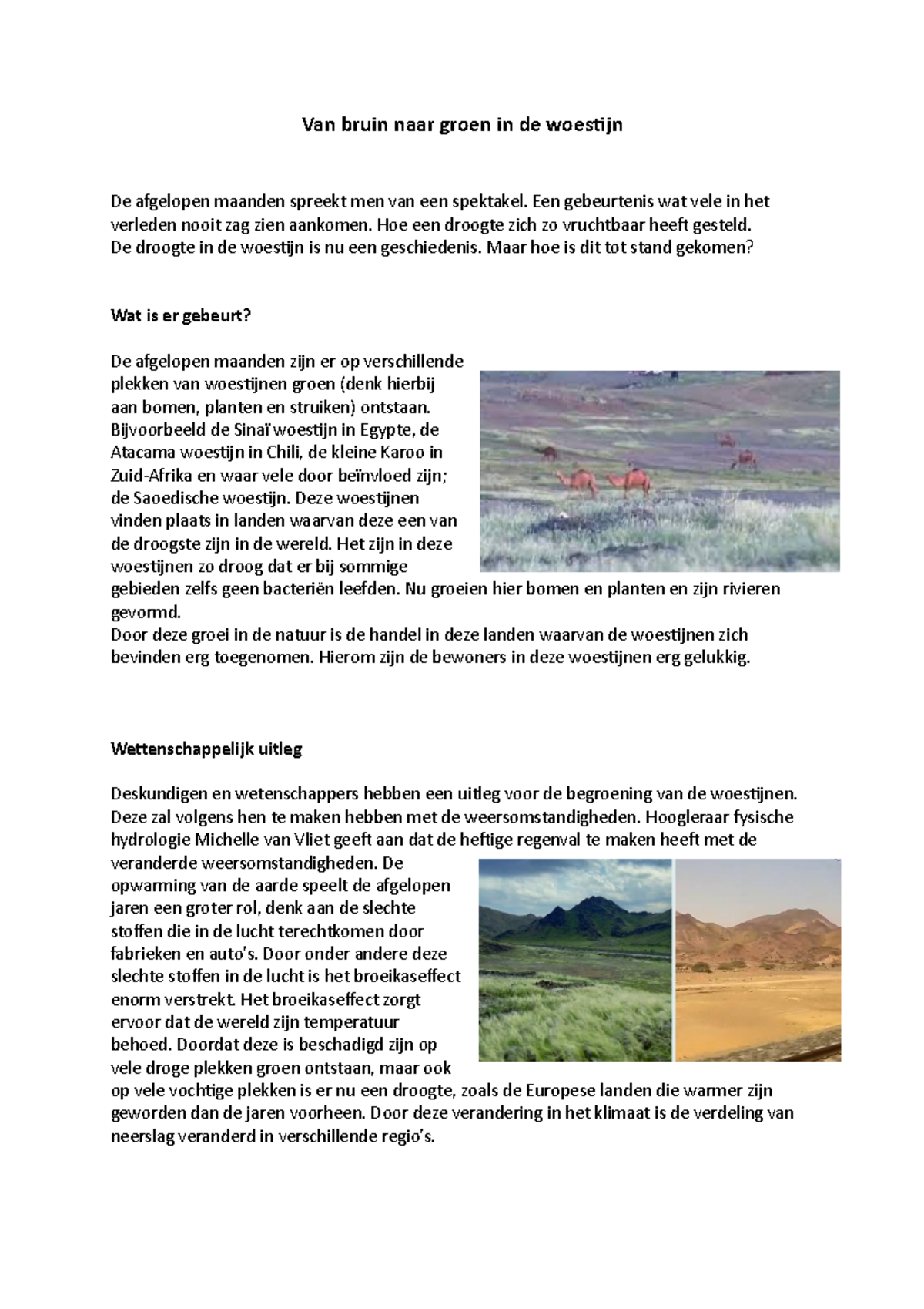 Woestijn nieuwe - Mijn blog - Van bruin naar groen in de woestijn De ...