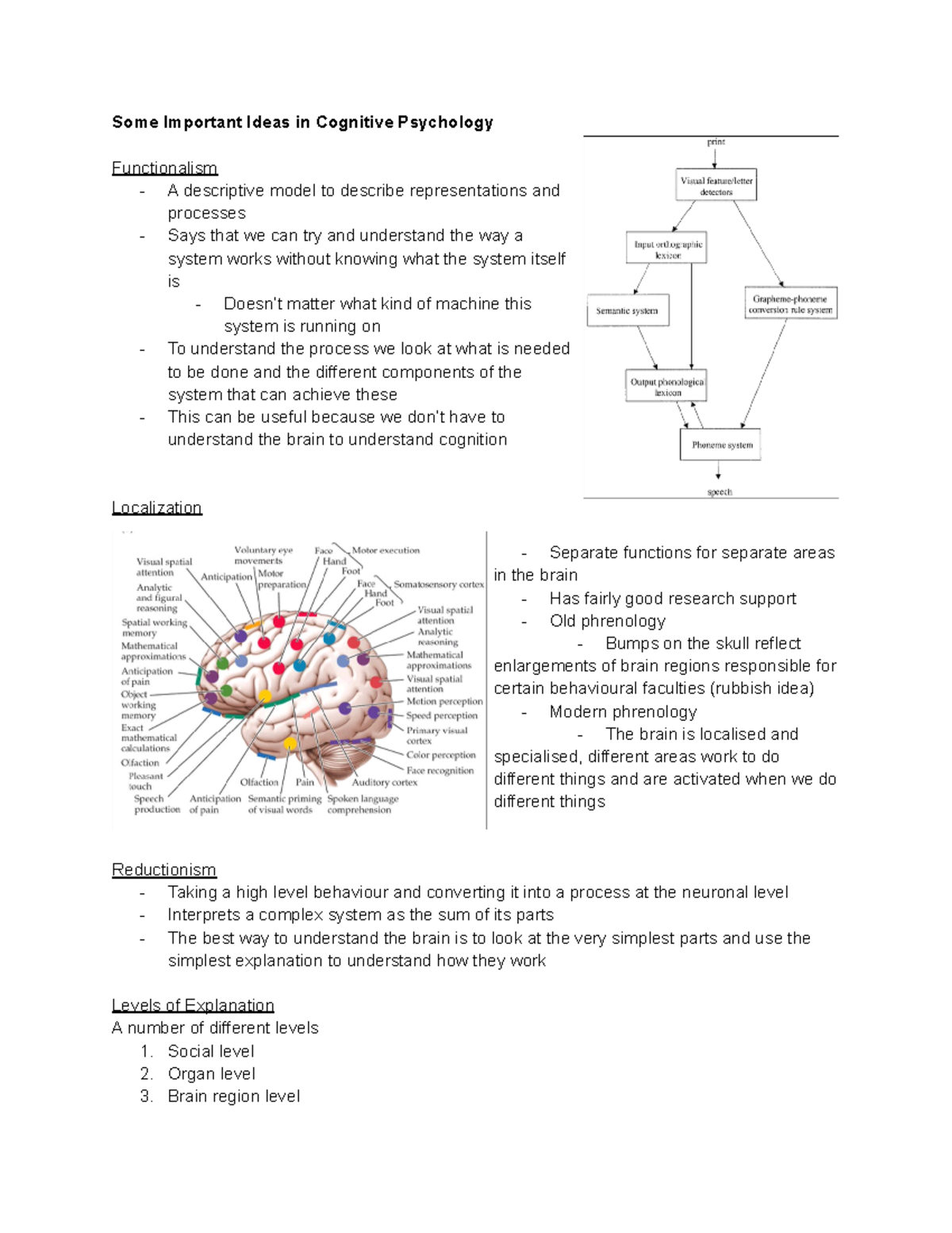 Introduction to Cog & Bio (The Brain) - Some Important Ideas in ...