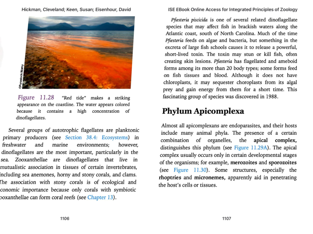 Sum. chapter 11 notes - Dr. Matthew grober - Integrated Principles of ...