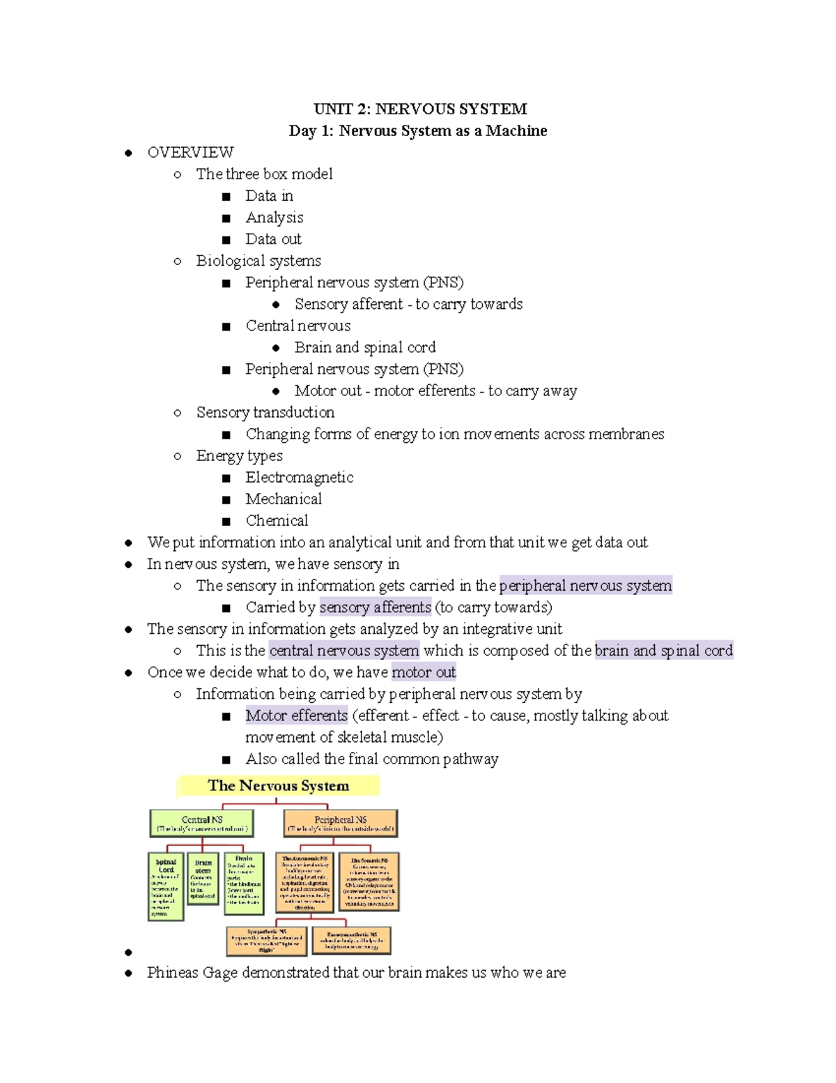 UNIT 2 Nervous System - Notes from the second Unit, Unit 2, of BMS 300 ...