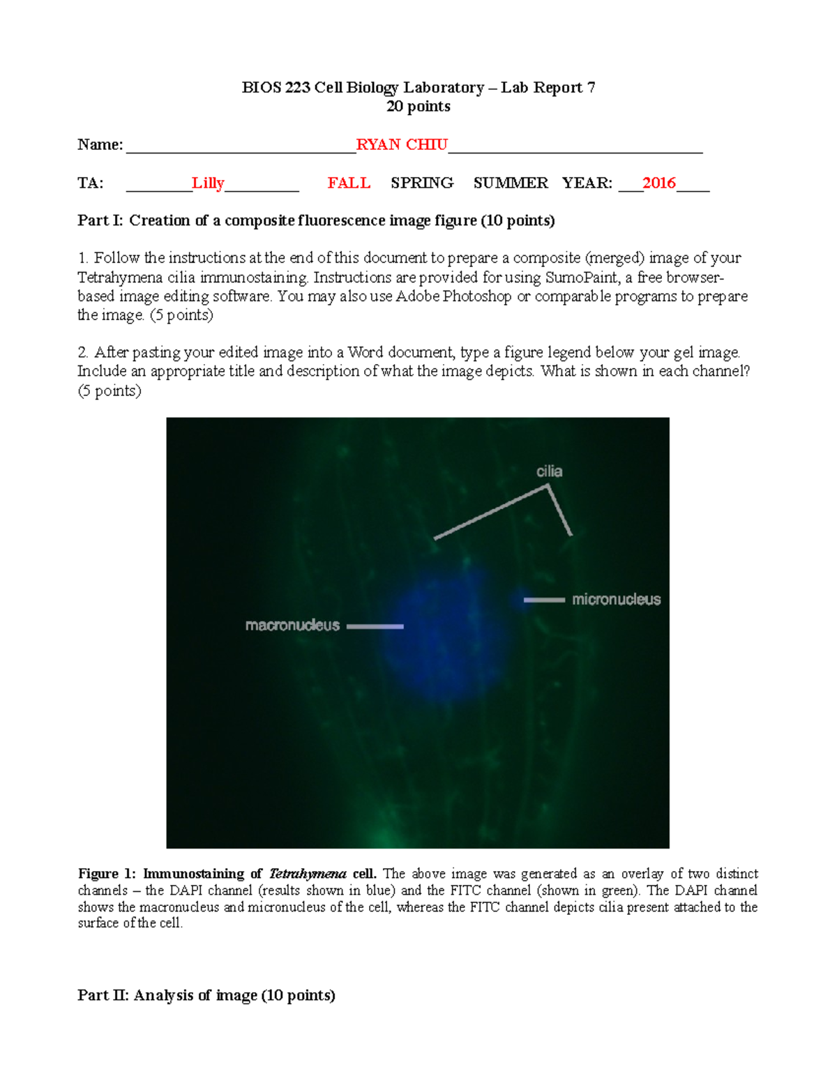 Chiu Ryan Lab Report 7 - BIOS 223 Cell Biology Laboratory – Lab Report ...