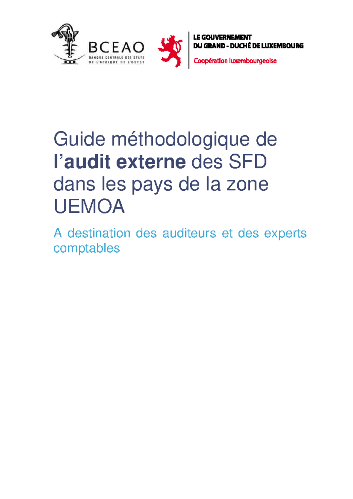 Guide méthodologique de l’audit externe - Guide méthodologique de l ...