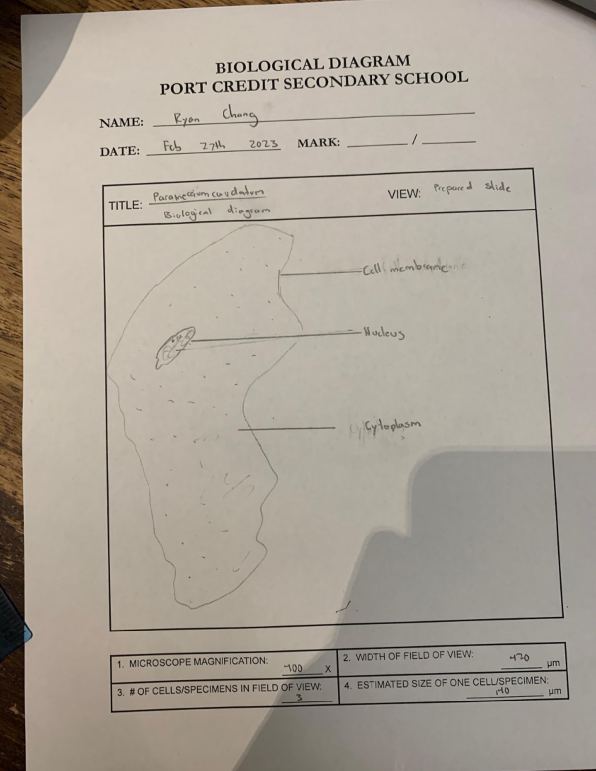 Biological Diagram - Studocu