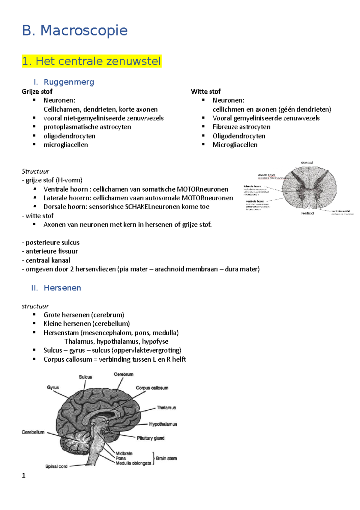 H9 Zenuwweefsel (macroscopie) - B. Macroscopie 1. Het centrale ...