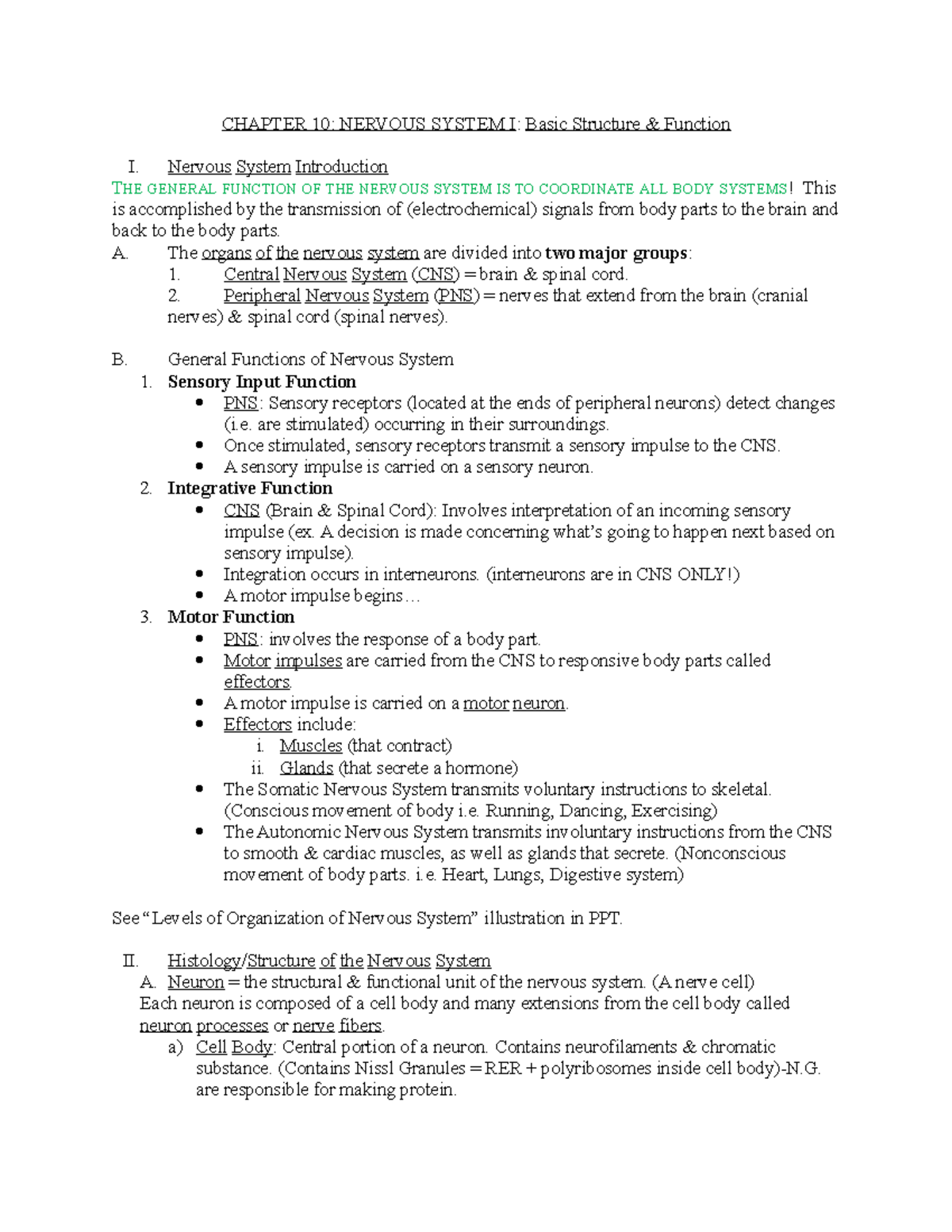 Chapter 10 Revised Outline - CHAPTER 10: NERVOUS SYSTEM I: Basic ...