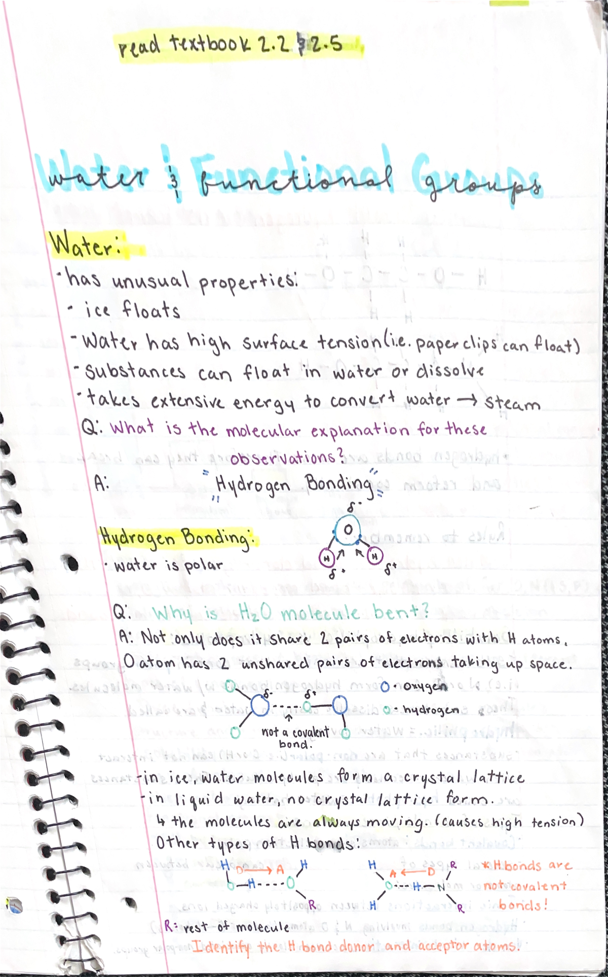 Water and functional groups - read textbook 2 2 3 functional groups ...