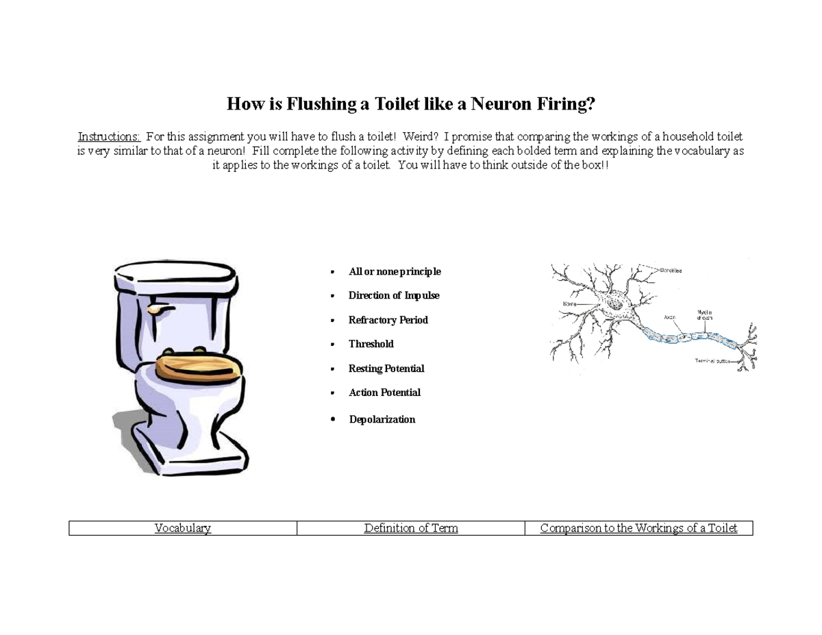 Neuron Toilet Activity - How is Flushing a Toilet like a Neuron Firing ...