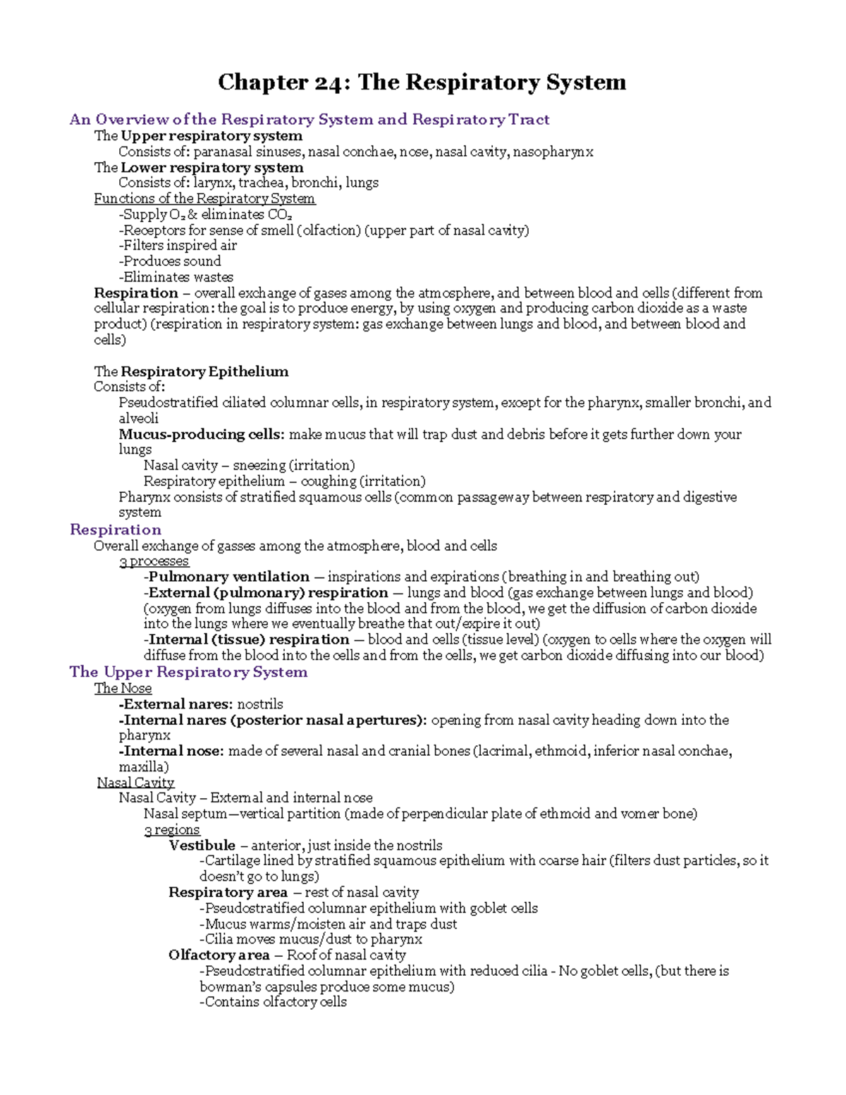 Chapter 24 - The Respiratory System outline - Chapter 24: The ...